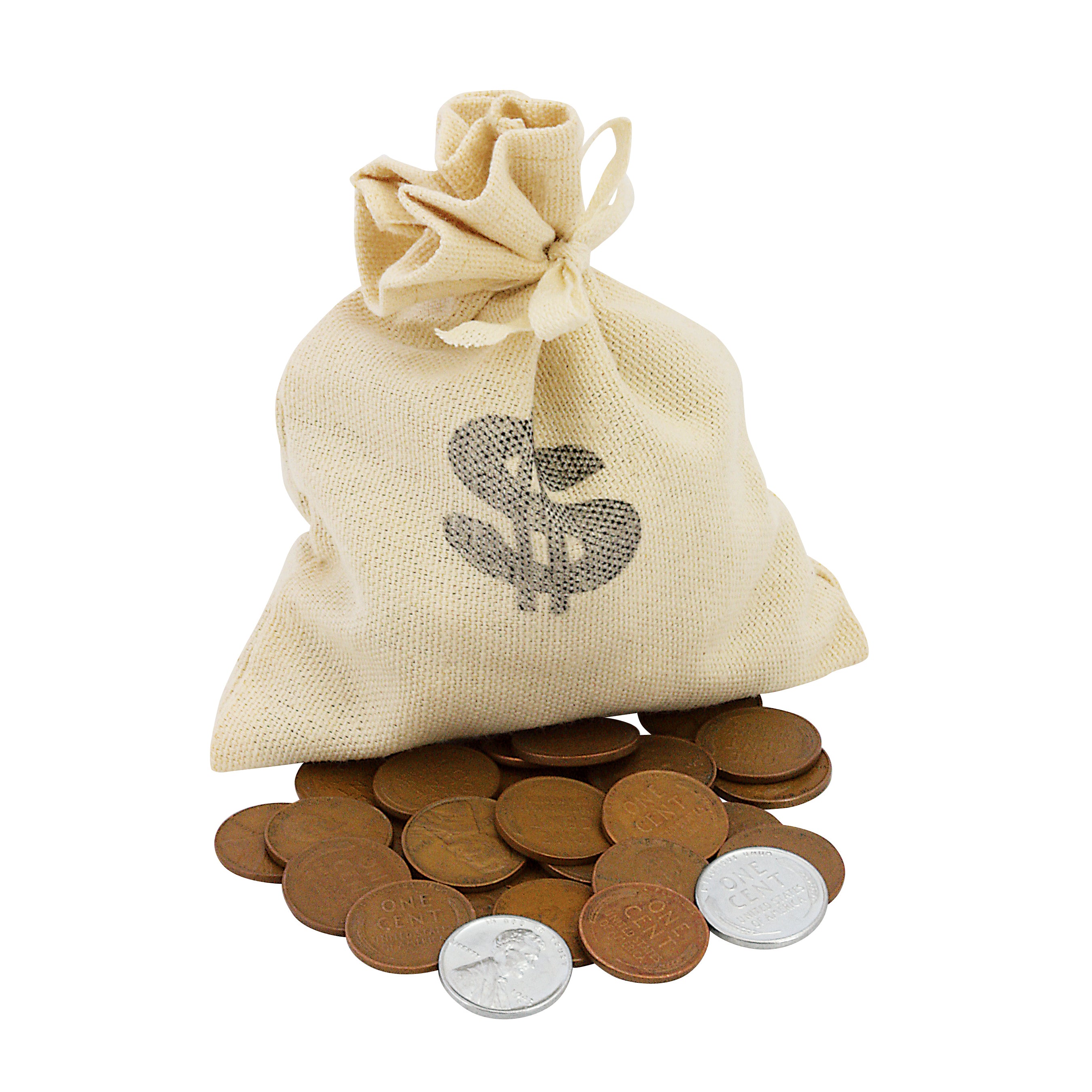 Bankers Bag of U.S. World War II Coins with Canvas Bag – ShopHQ