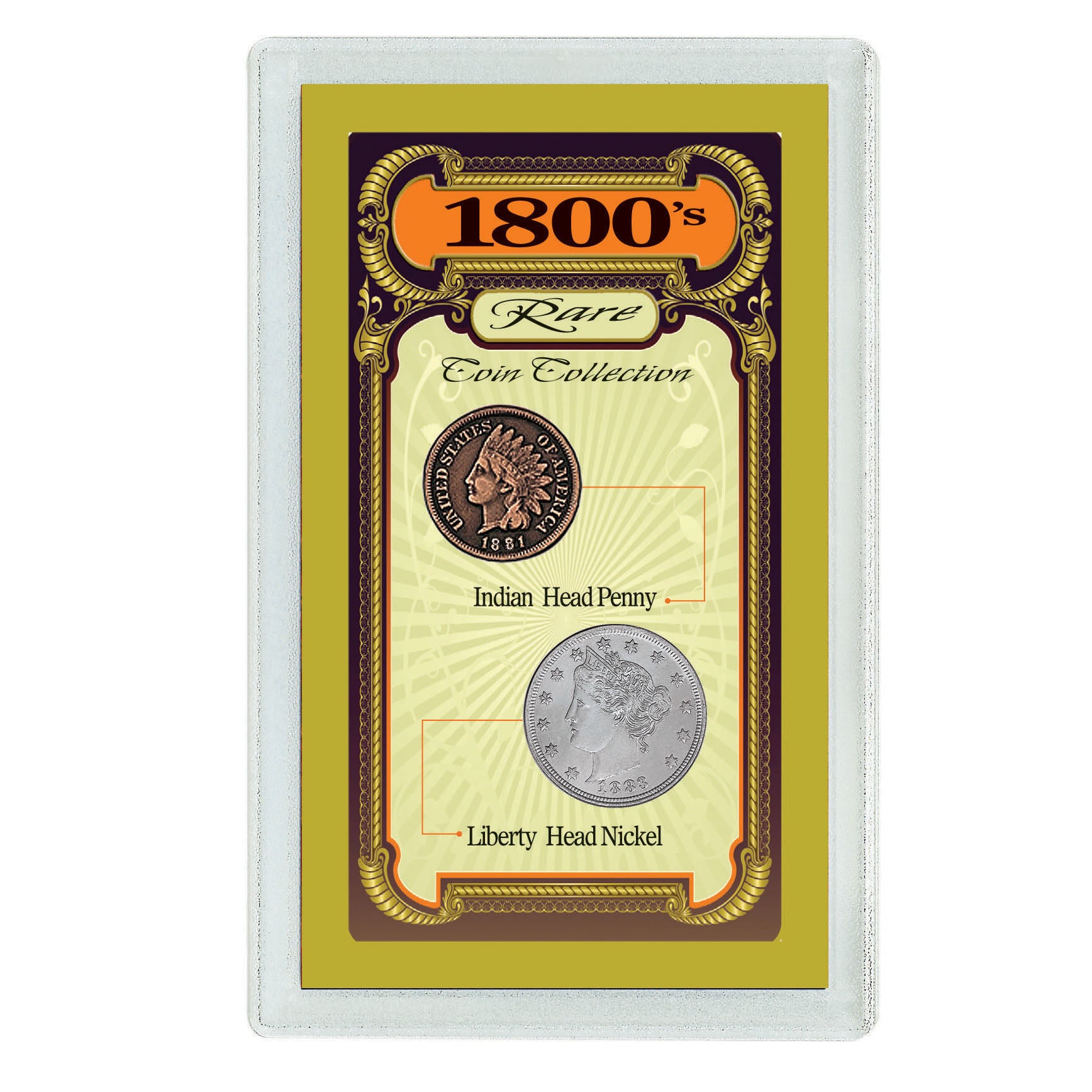 Indian Head Penny & Liberty Head Nickel Rare Coin Collection with Disp ...