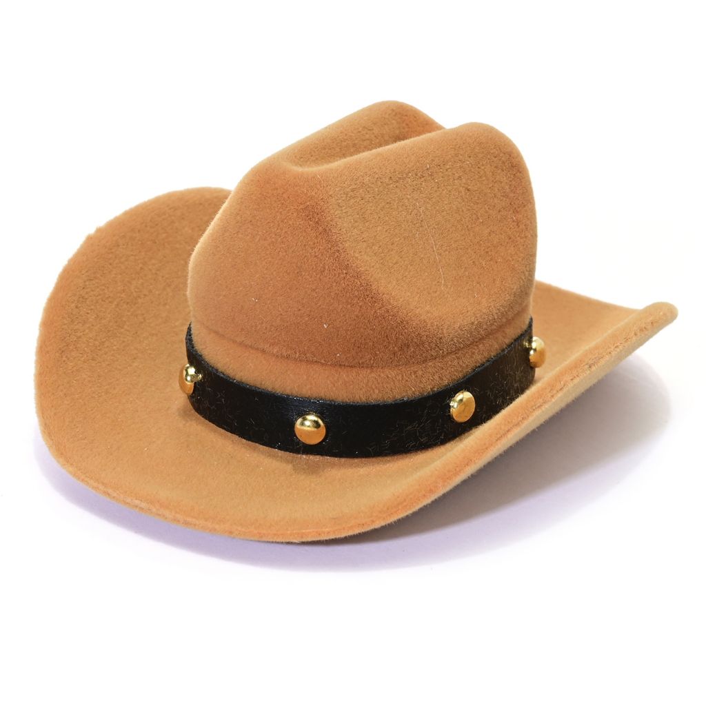 Southwest Elements Cowboy Hat Ring Box – ShopHQ