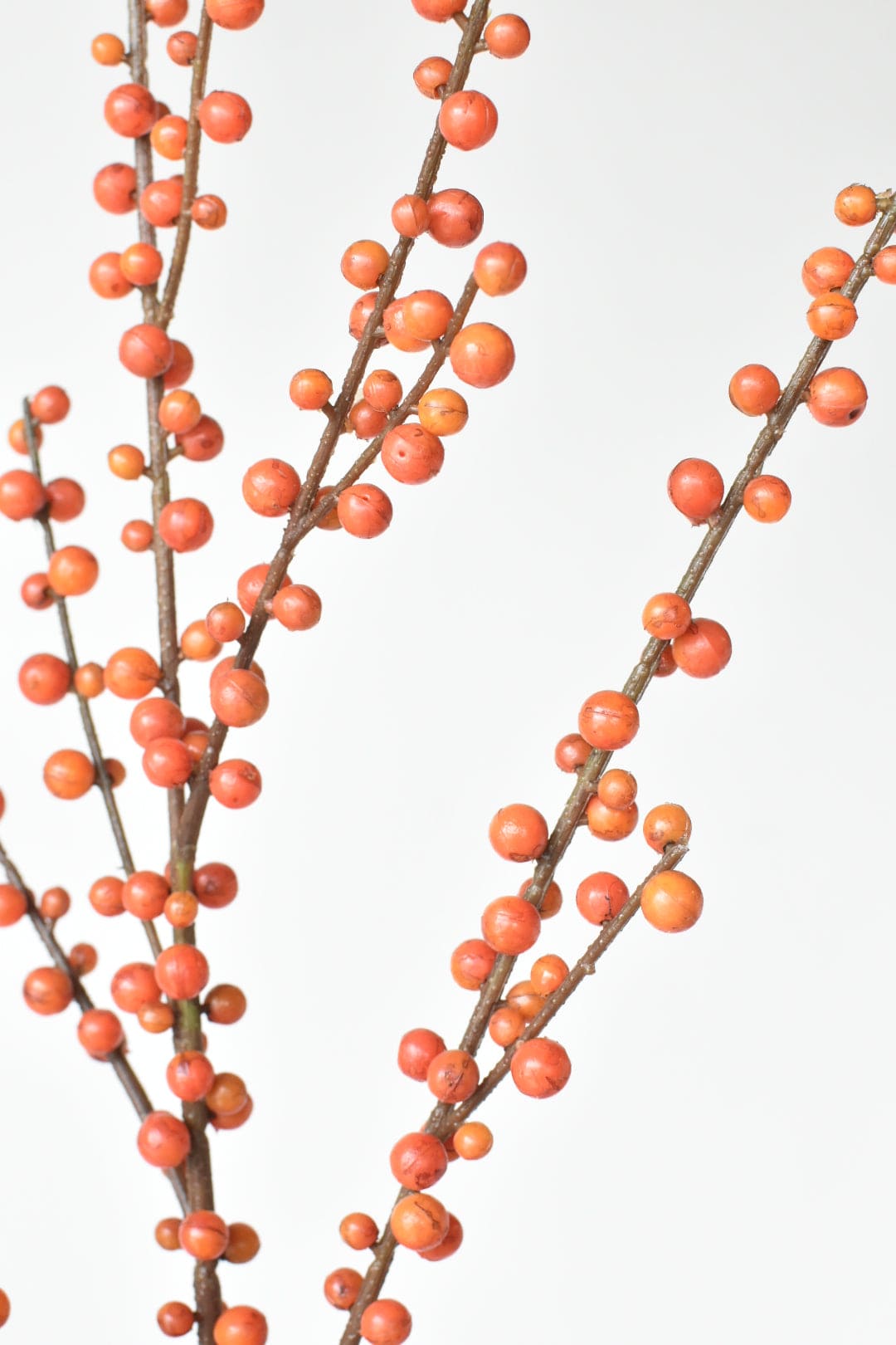43" Faux Outdoor Orange Berry Stem – ShopHQ